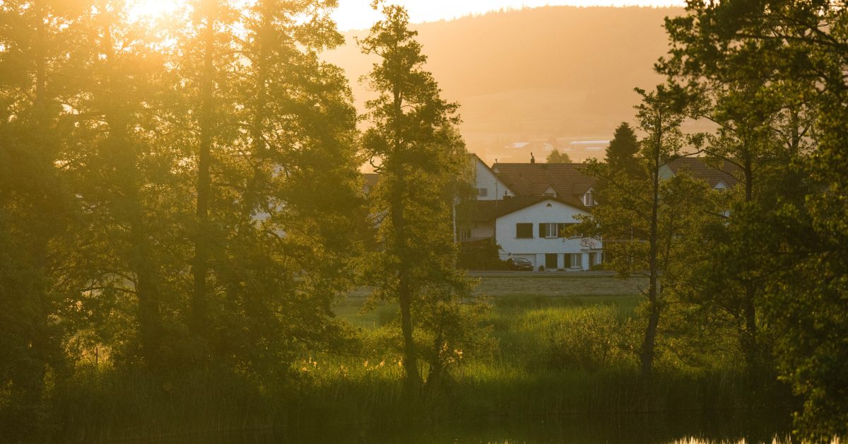 Hasli Night Run – ZKB Zürilauf Cup